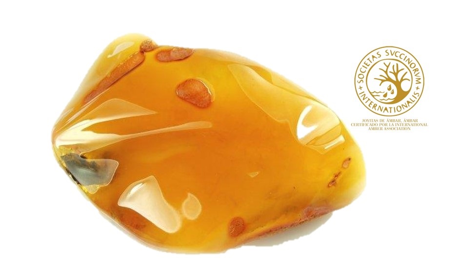 ¿Qué es la International Amber Association? - Joyitas de Ambar