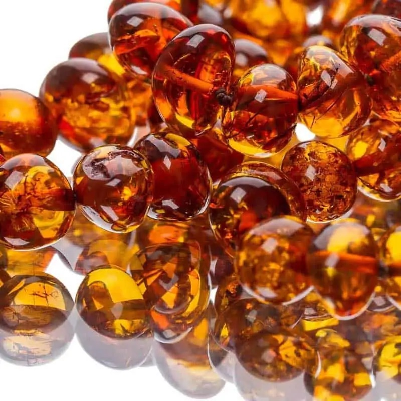 ¿Qué es el Ámbar Báltico? - Joyitas de Ambar